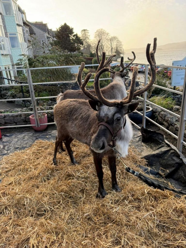 Local celebrities snapped in the paper! - Hollybank - Pearlcare